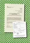 Letter of No Trace Apostille — The Apostilles Group