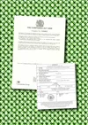 Letter of No Trace Apostille — The Apostilles Group