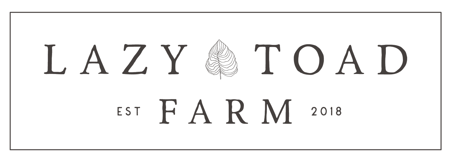 Lazy Toad FarmLazy Toad Farm Lazy Toad FarmLazy Toad Farm