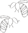 Lazy Toad Farm