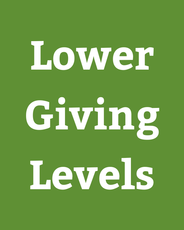 Giving Levels — Further The MPact