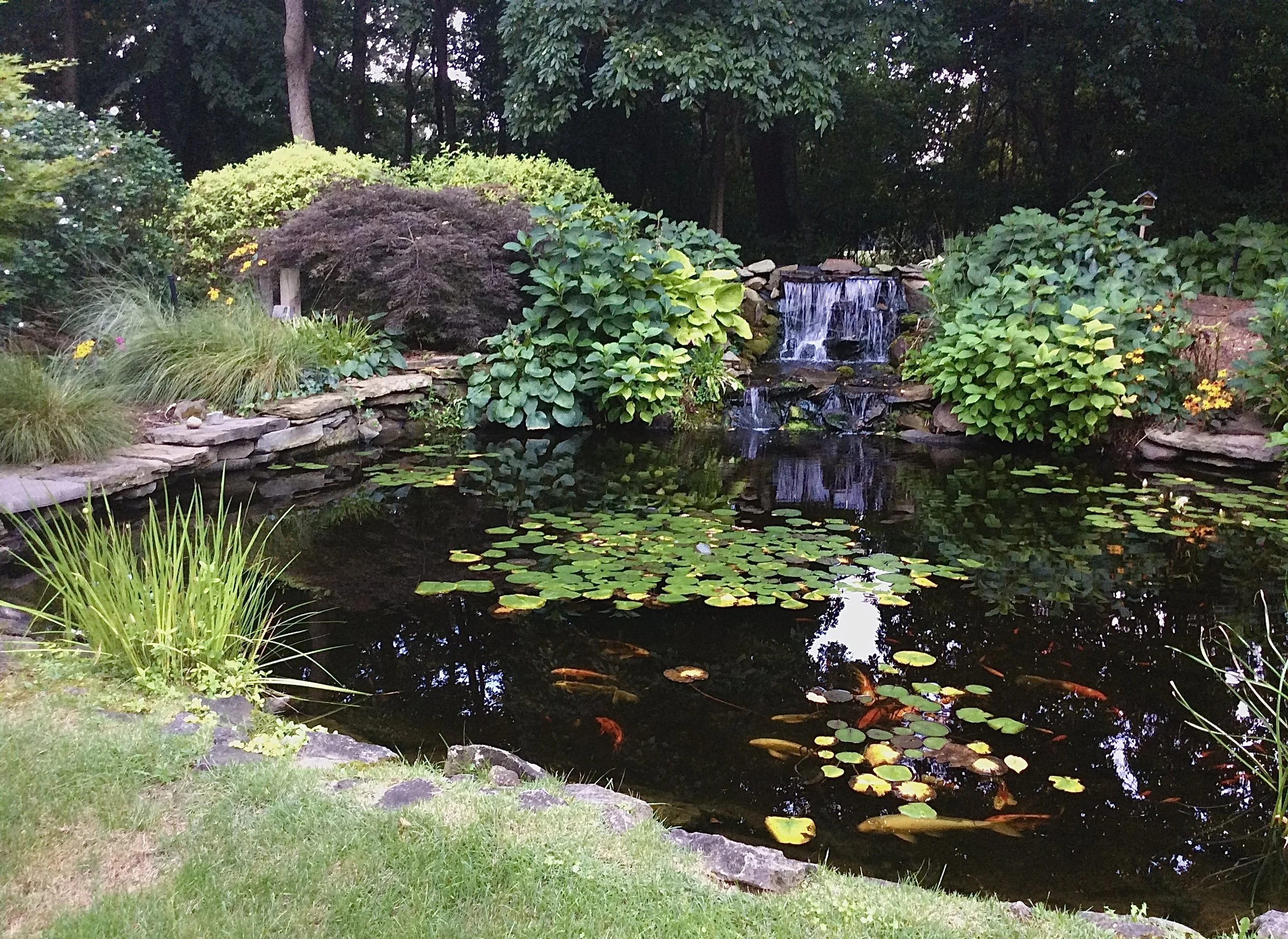 Landscaping with Dimension — Antine Landscaping Design