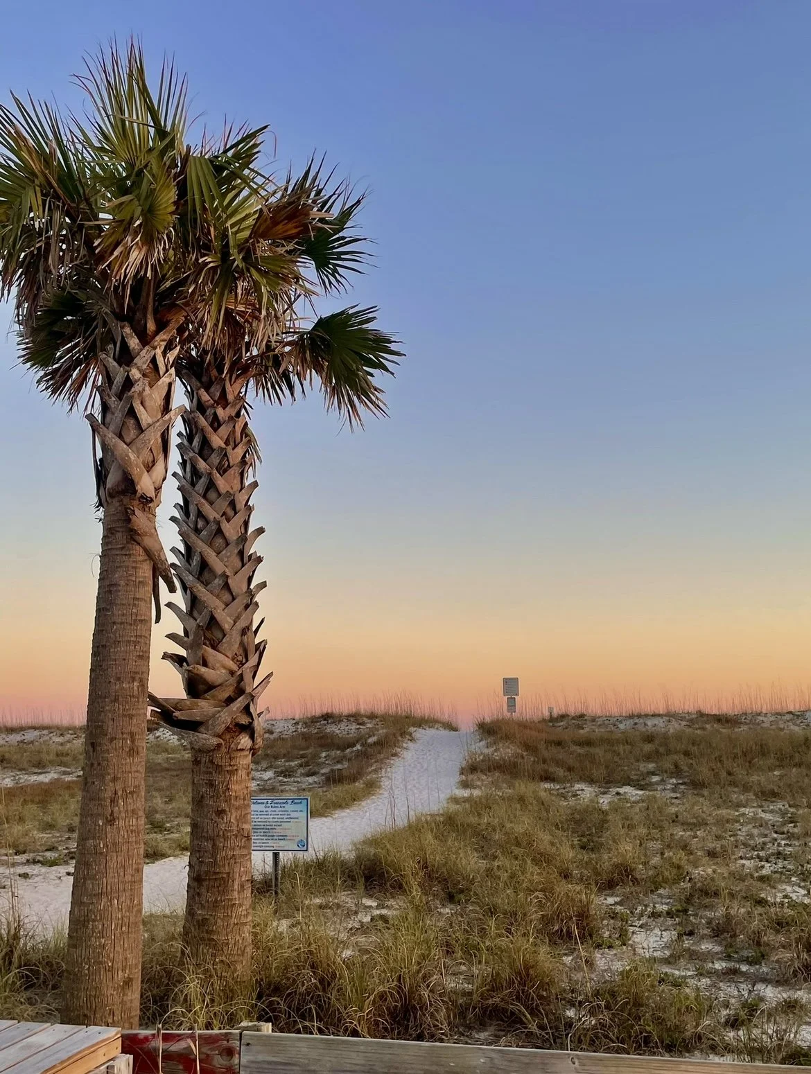 Madeline Marie Marketing