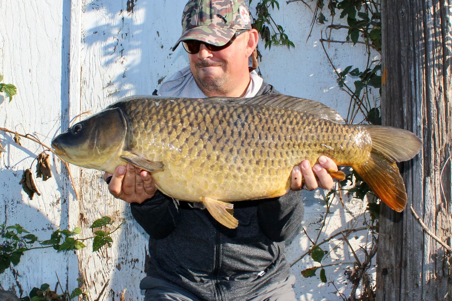 kiyam carp
