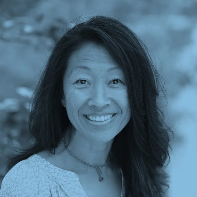 Board Members — Ibis Group