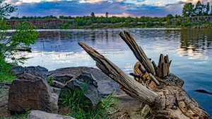 Things to do in Show Low Arizona — Visit Show Low