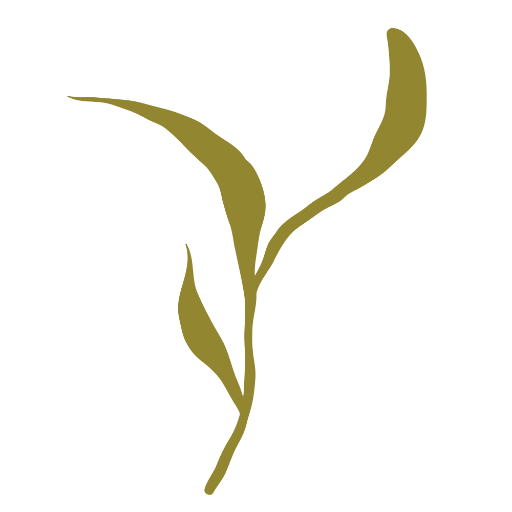 The Devoted Doula | Suffolk County