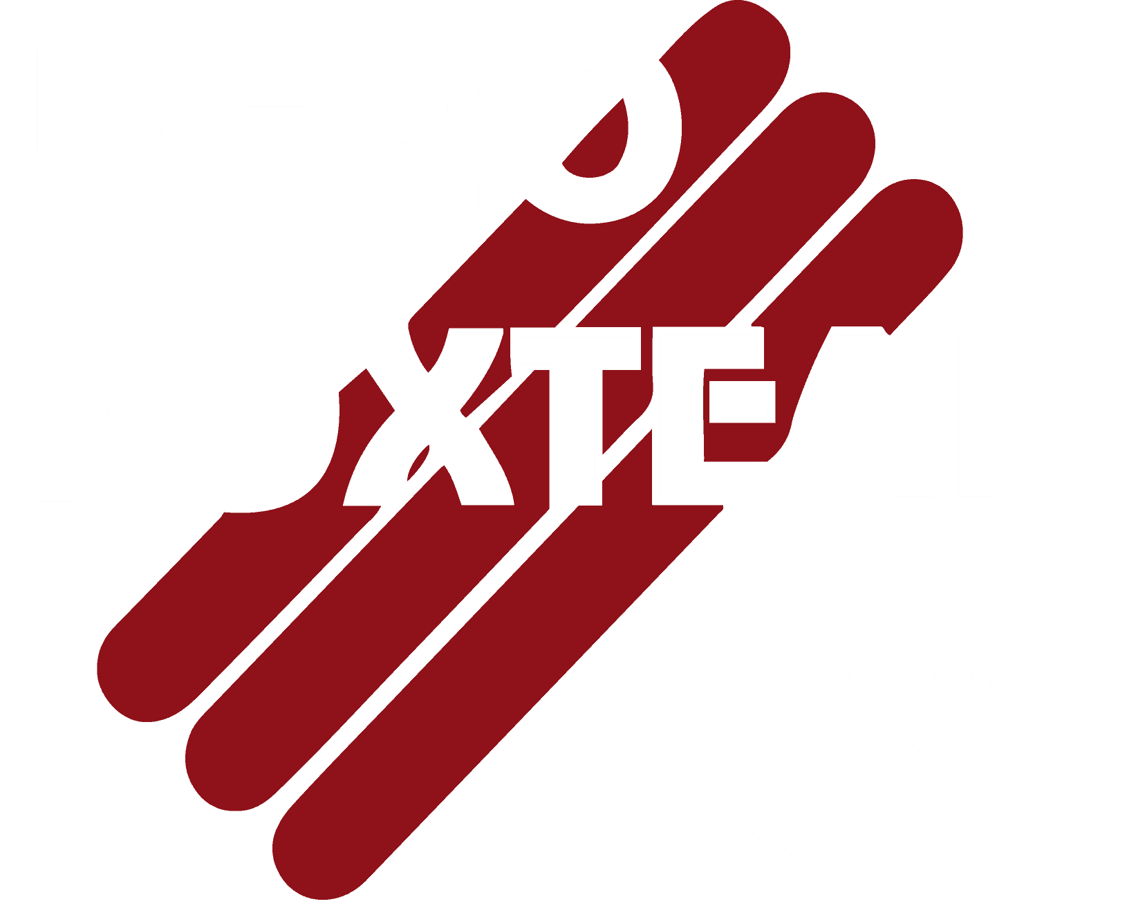 UGRO Boxteam I Profiboxen aus NRW I Hochwertiges Profiboxen in Oberhausen