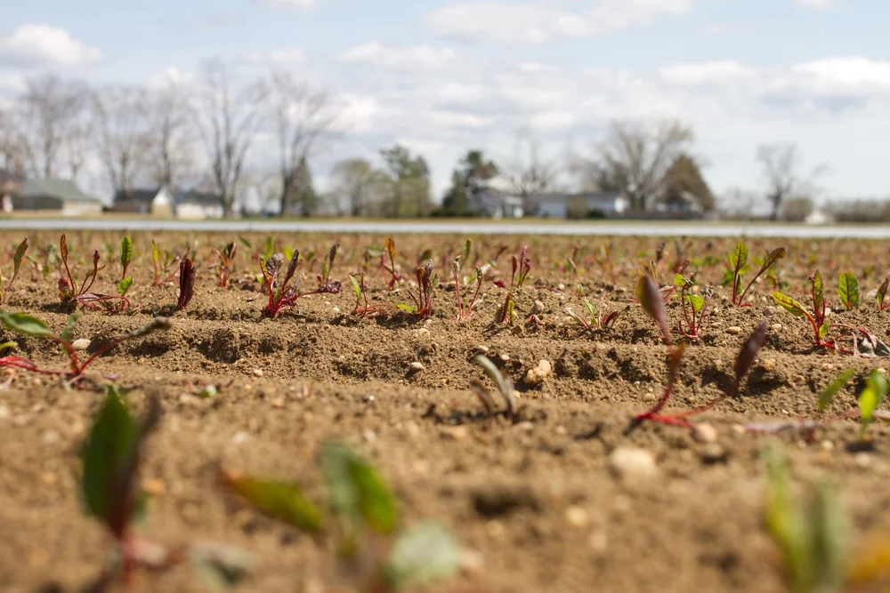 Farms and Products — ZONE 7