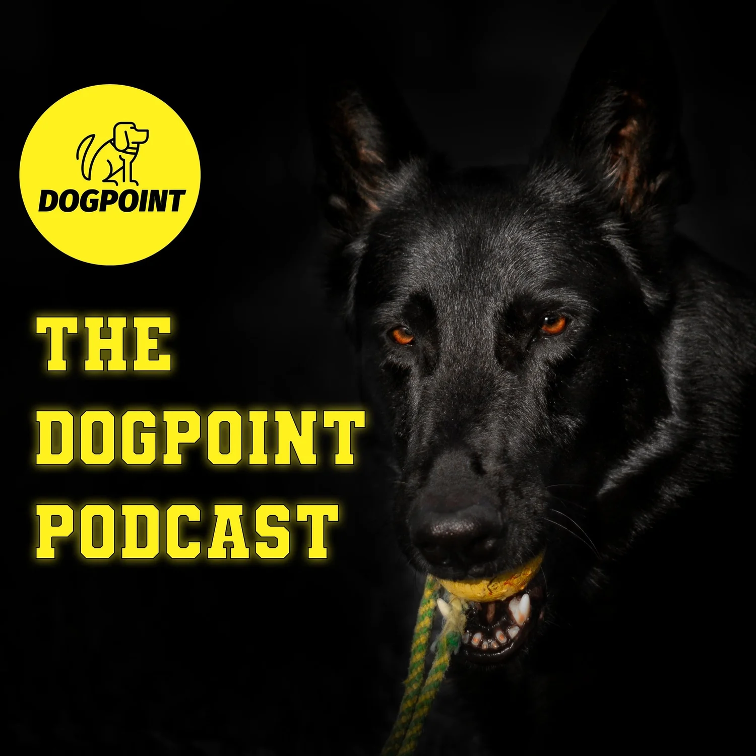 Dogpoint LLC