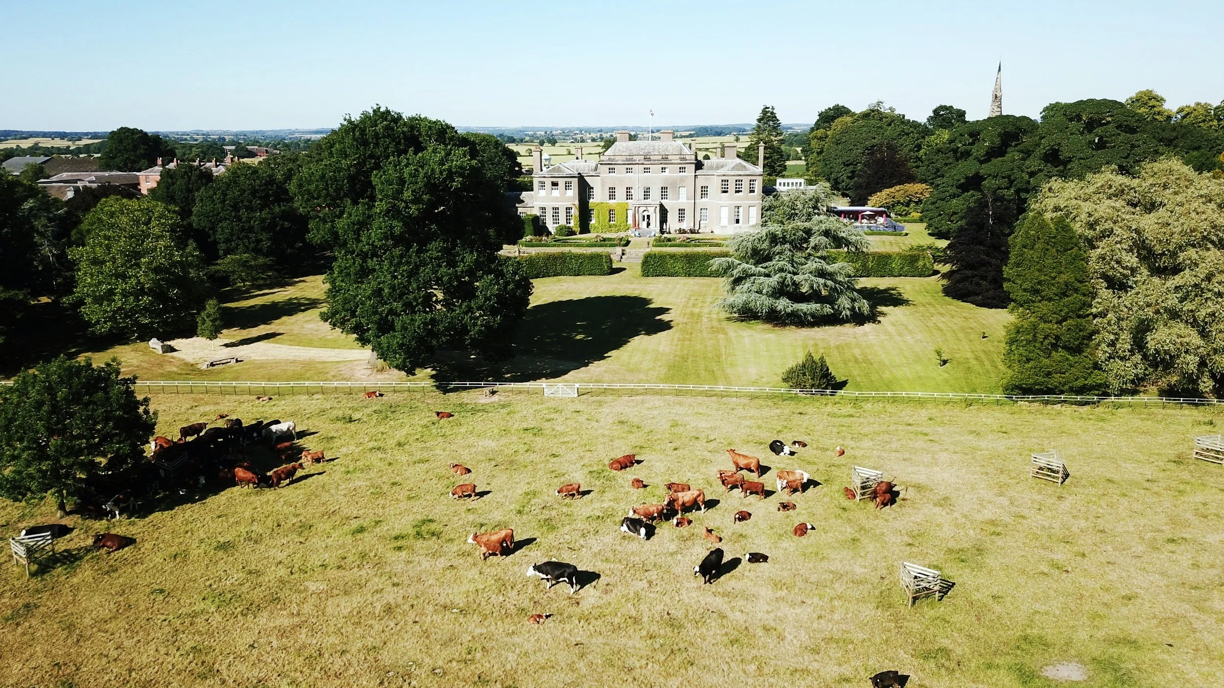 About Thorpe Estate — Constantine House