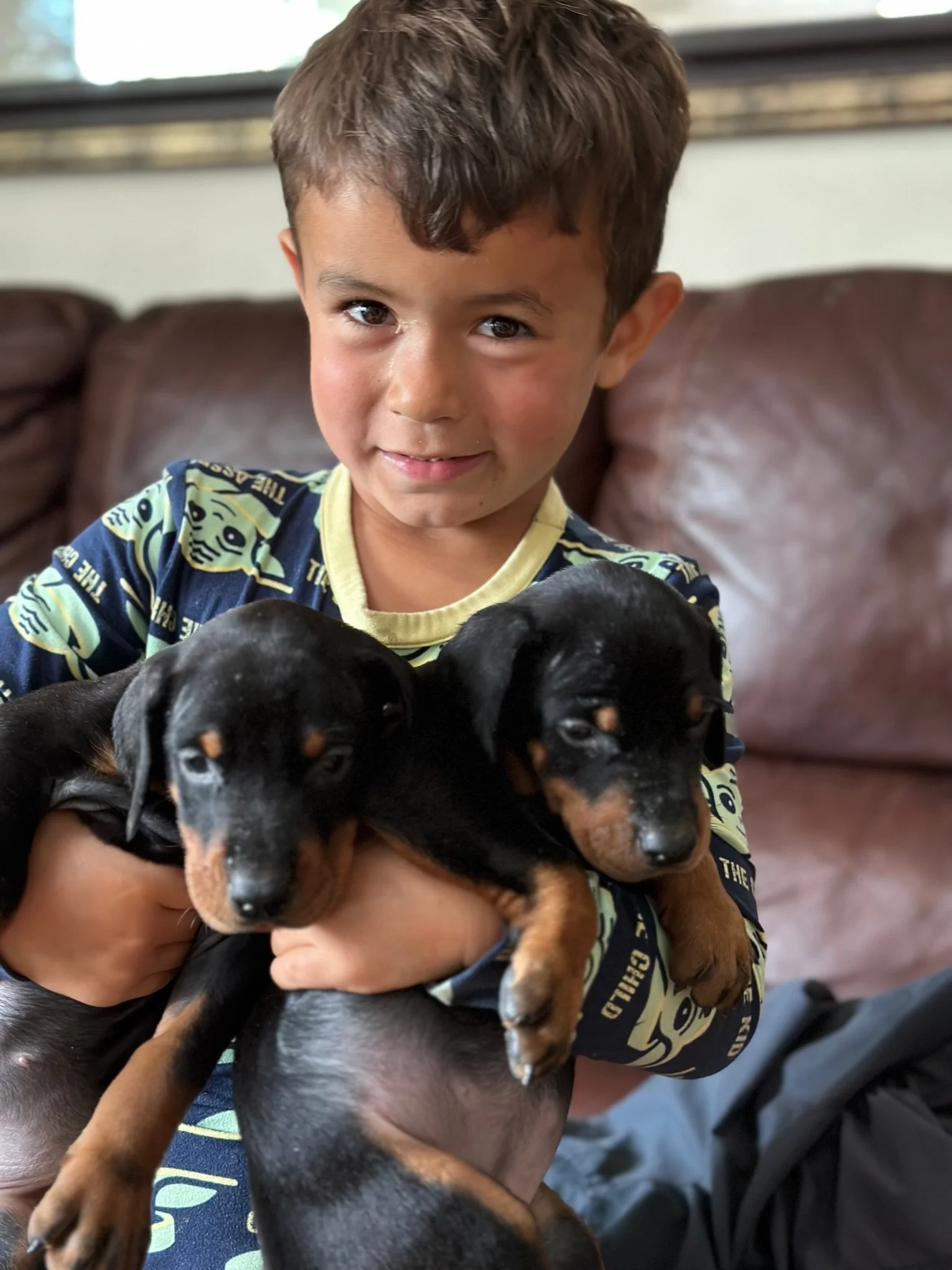 Apply for an AKC Doberman Puppy | Maine Dobermans Waitlist — Maine ...