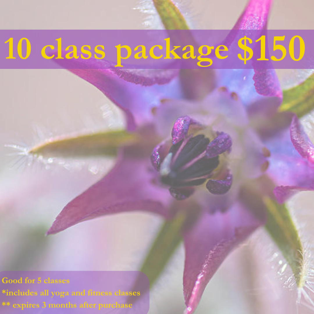 Package Options — Your Best Day Ever