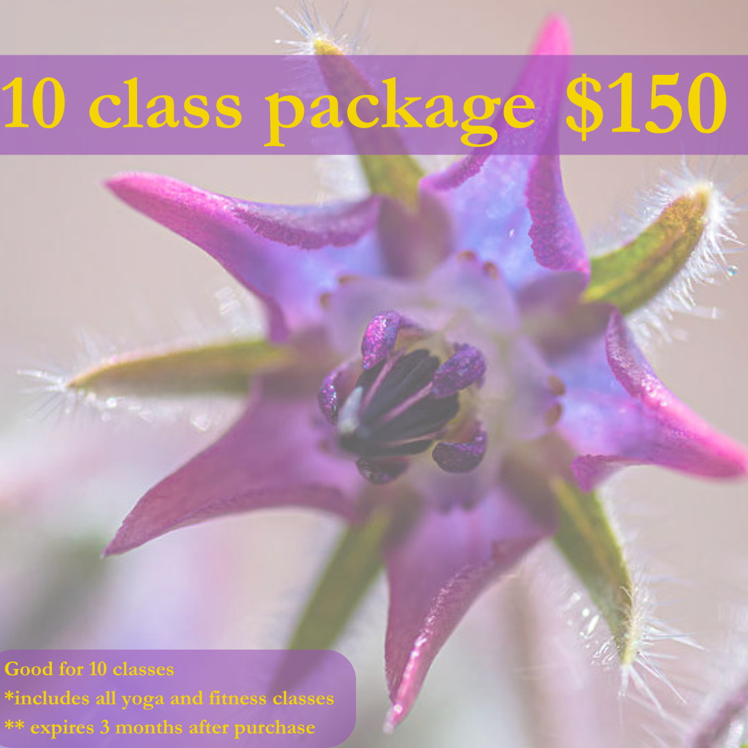 Package Options — Your Best Day Ever