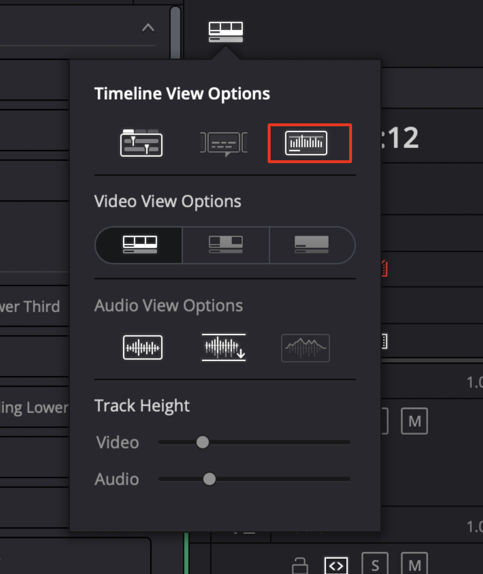 Missing Waveforms Davinci Resolve FIXED — BLUE SLATE