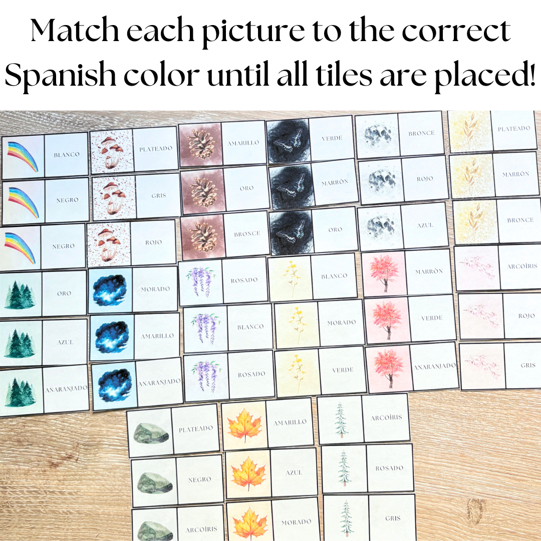 Spanish With Sophia