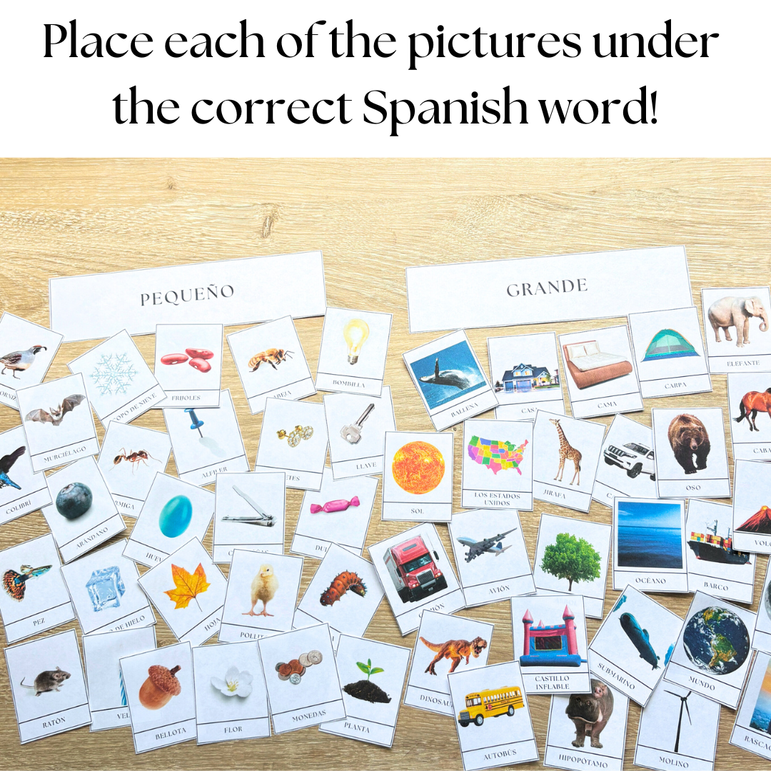 Spanish With Sophia