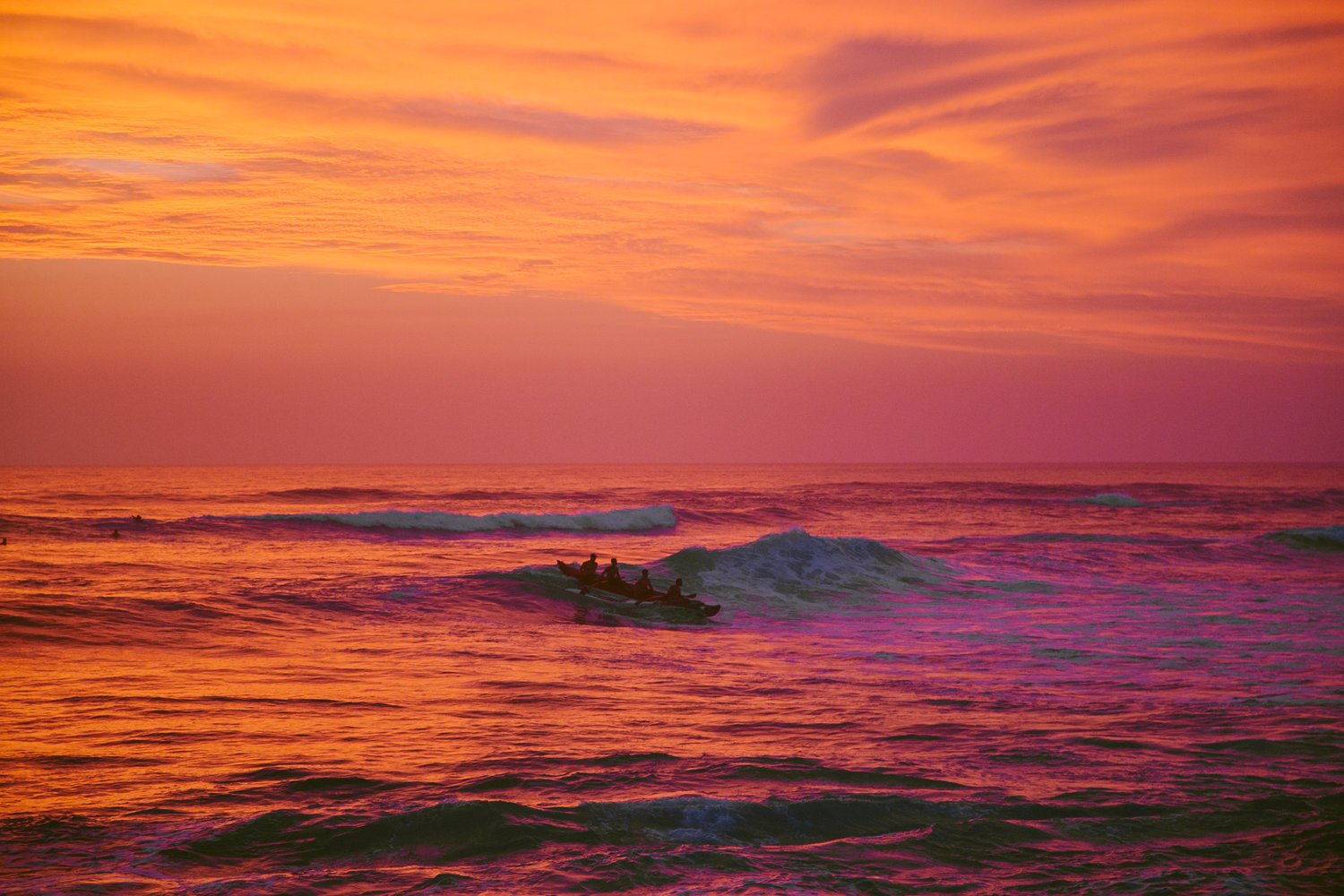 about — Island Magic Mike