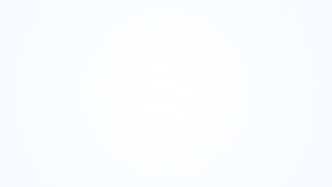 BEAD Program Services — Widelity, Inc.