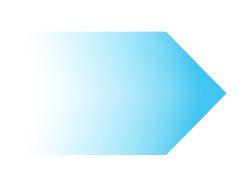 BEAD Program Services — Widelity, Inc.