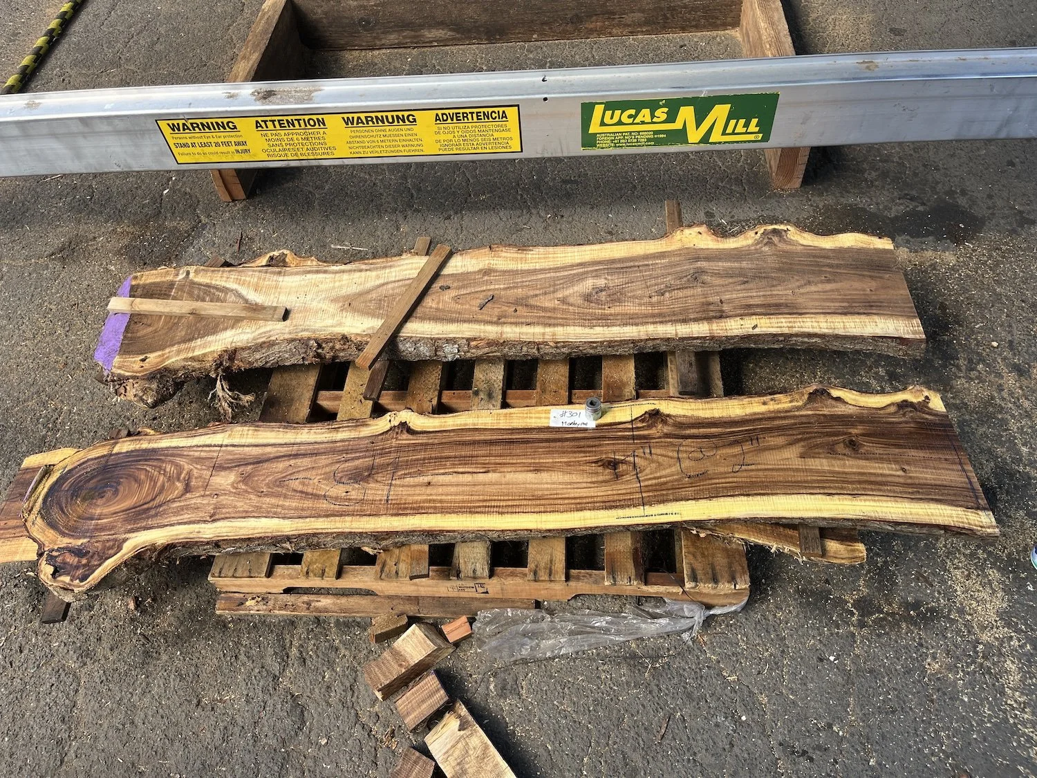 Tree Reclamation — Re-use Hawai'i