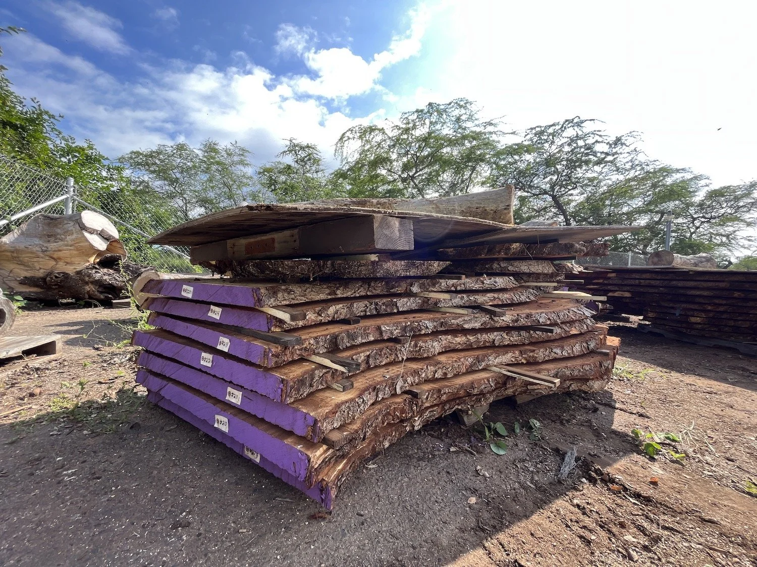 Tree Reclamation — Re-use Hawai'i