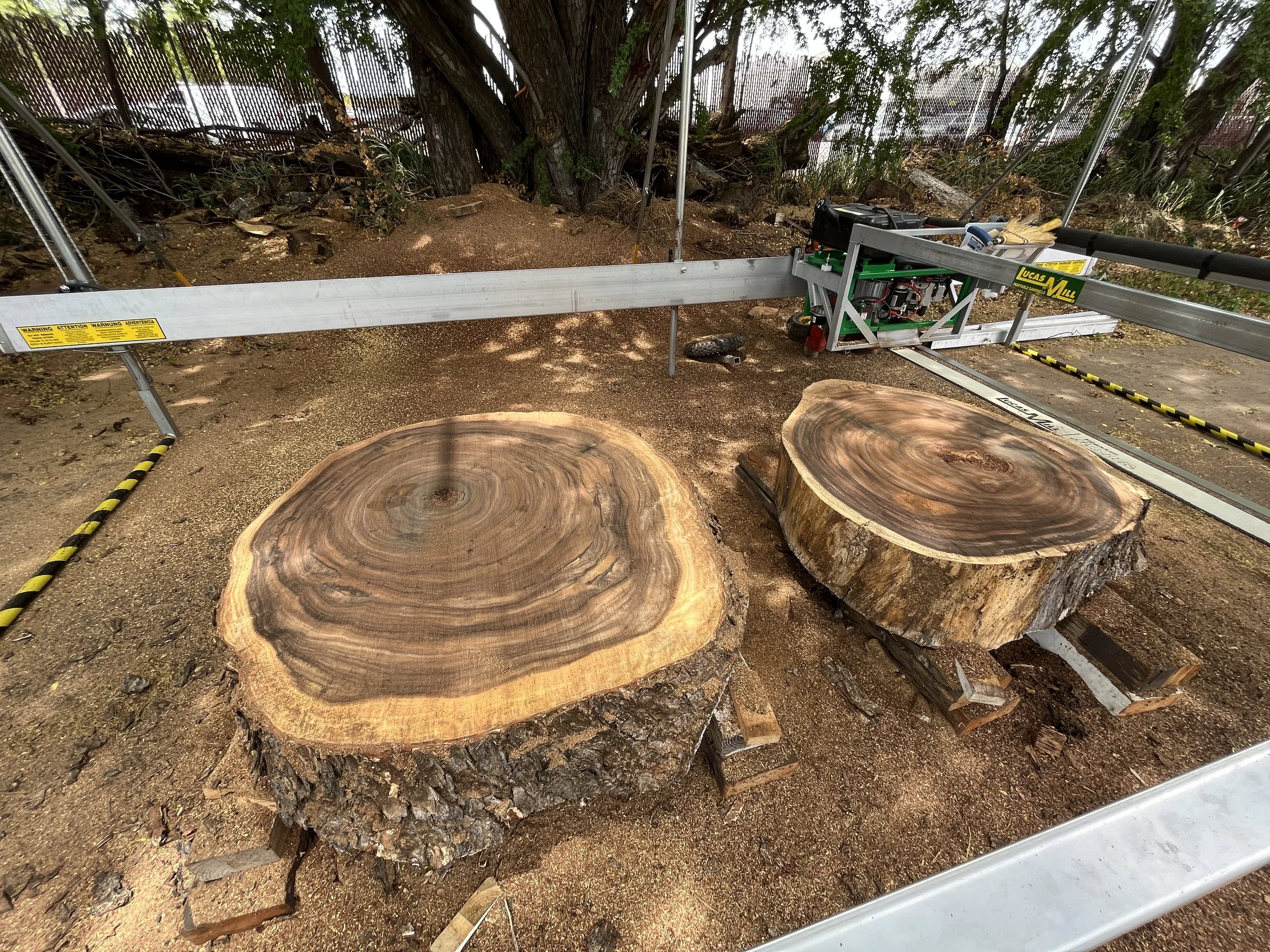 Tree Reclamation — Re-use Hawai'i