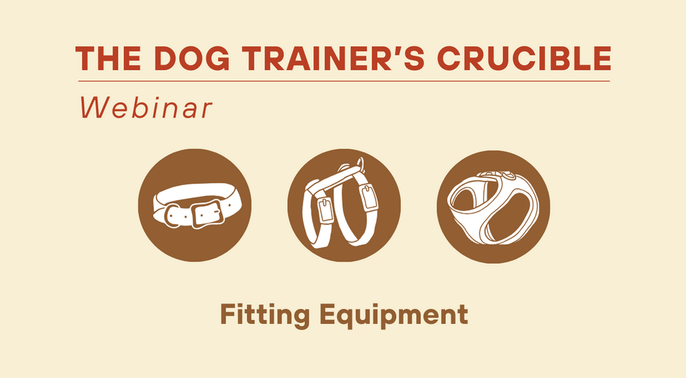 General 2 — The Dog Trainer's Crucible