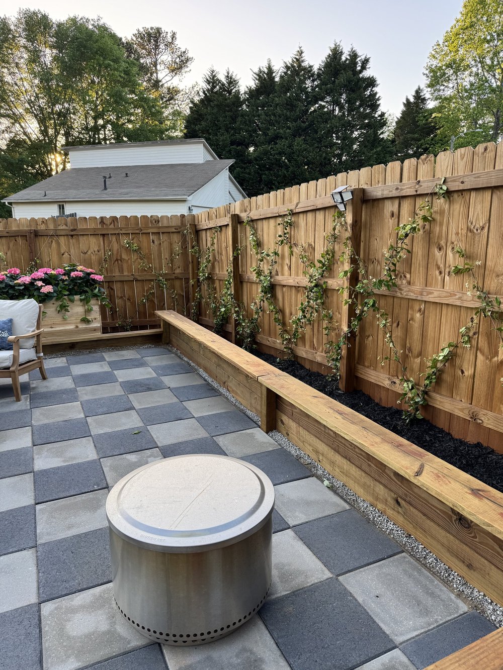 How to Train Star Jasmine to Climb a Fence (Espalier Made Easy ...