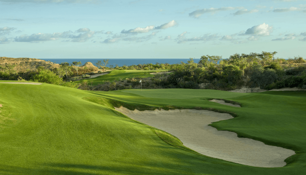 The Ultimate Cabo San Lucas Travel Guide — WANDER BY WILSON