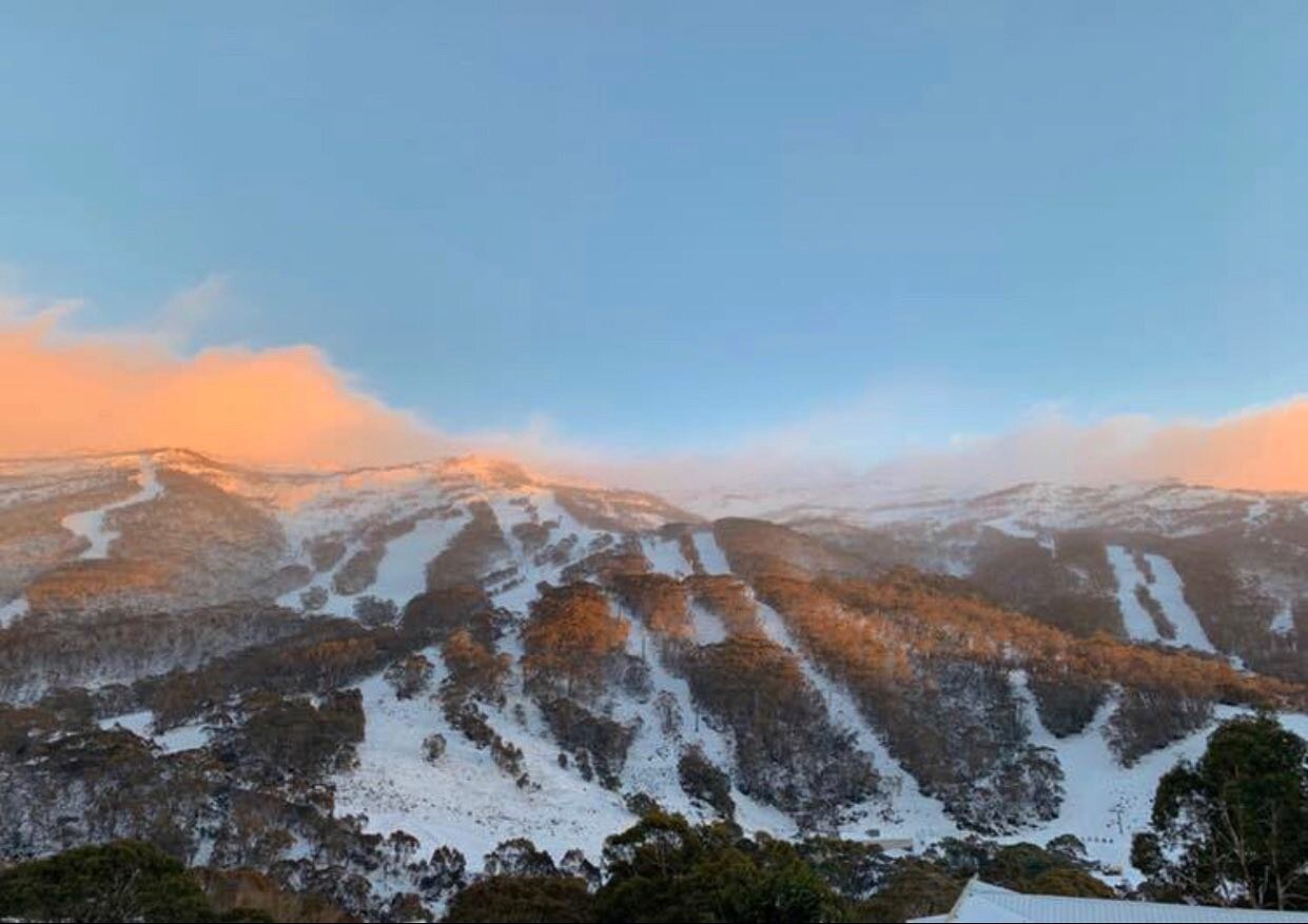 Contact us — ON THE TUNE