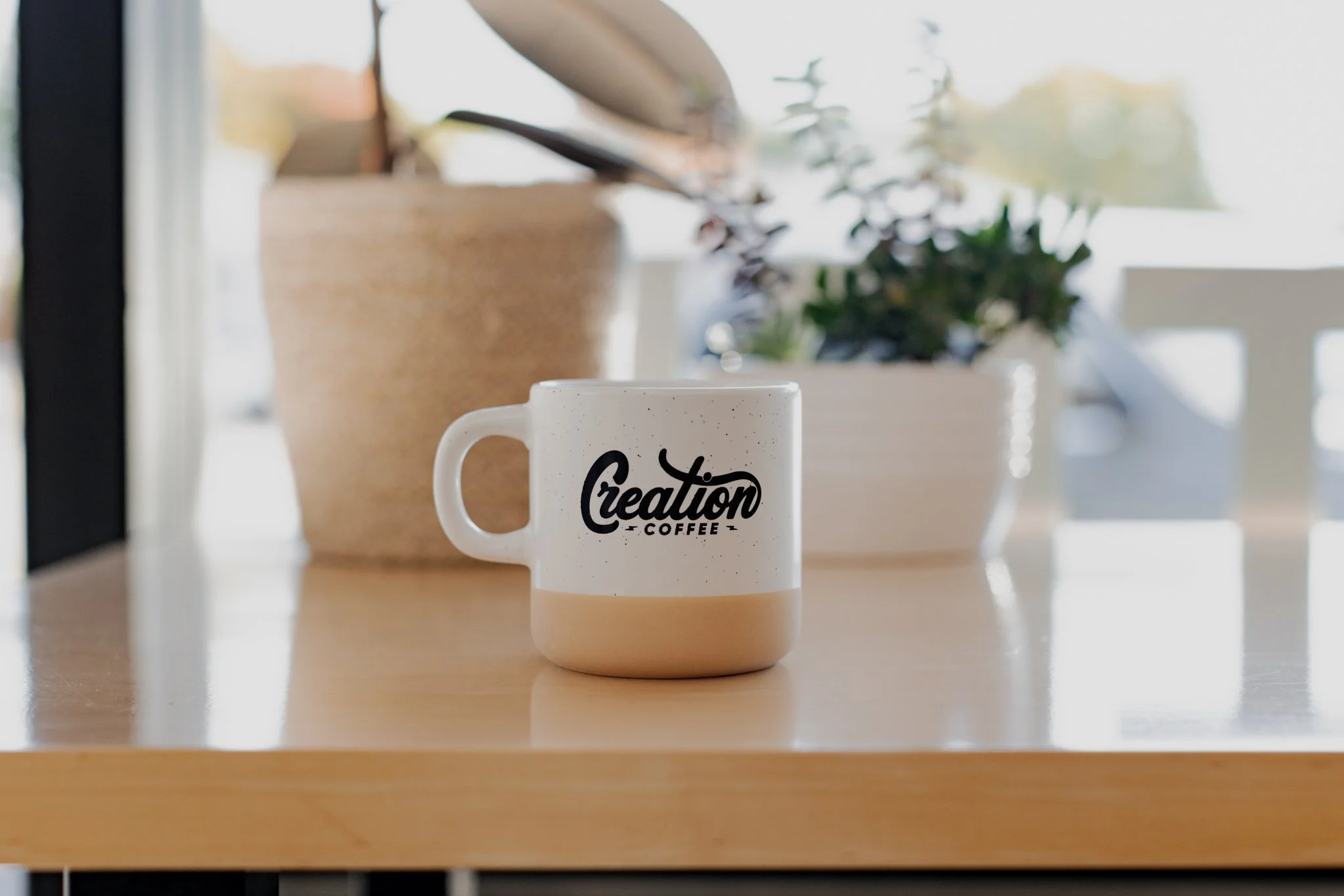 Creation Coffee | Taste, Explore, Brew Today