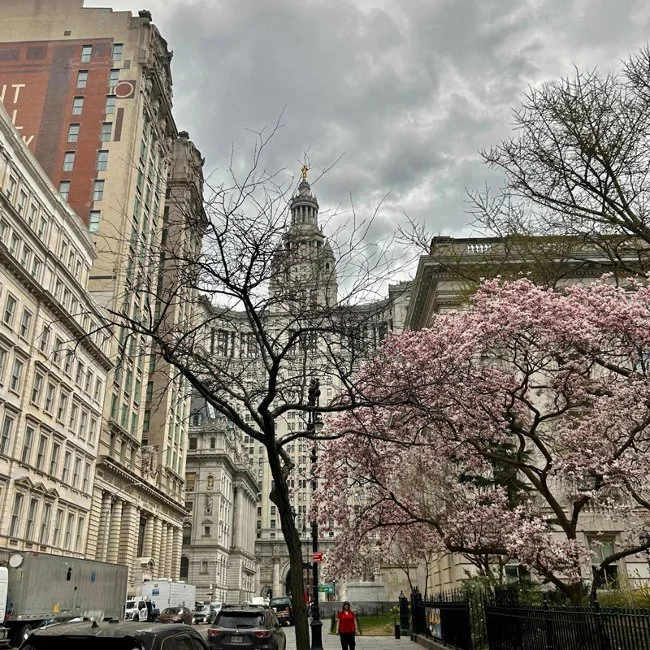 8 Lieux Incontournables du Financial District à New York 💡 — Marie ...