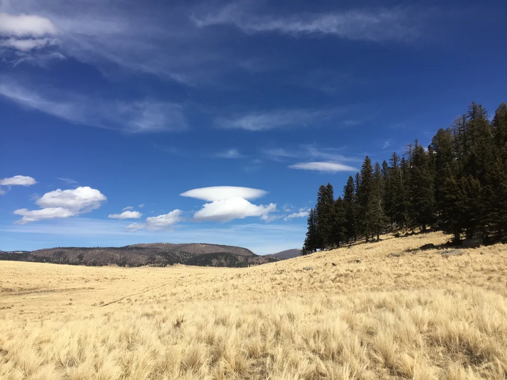 Services — Gregory Bodine, LICSW