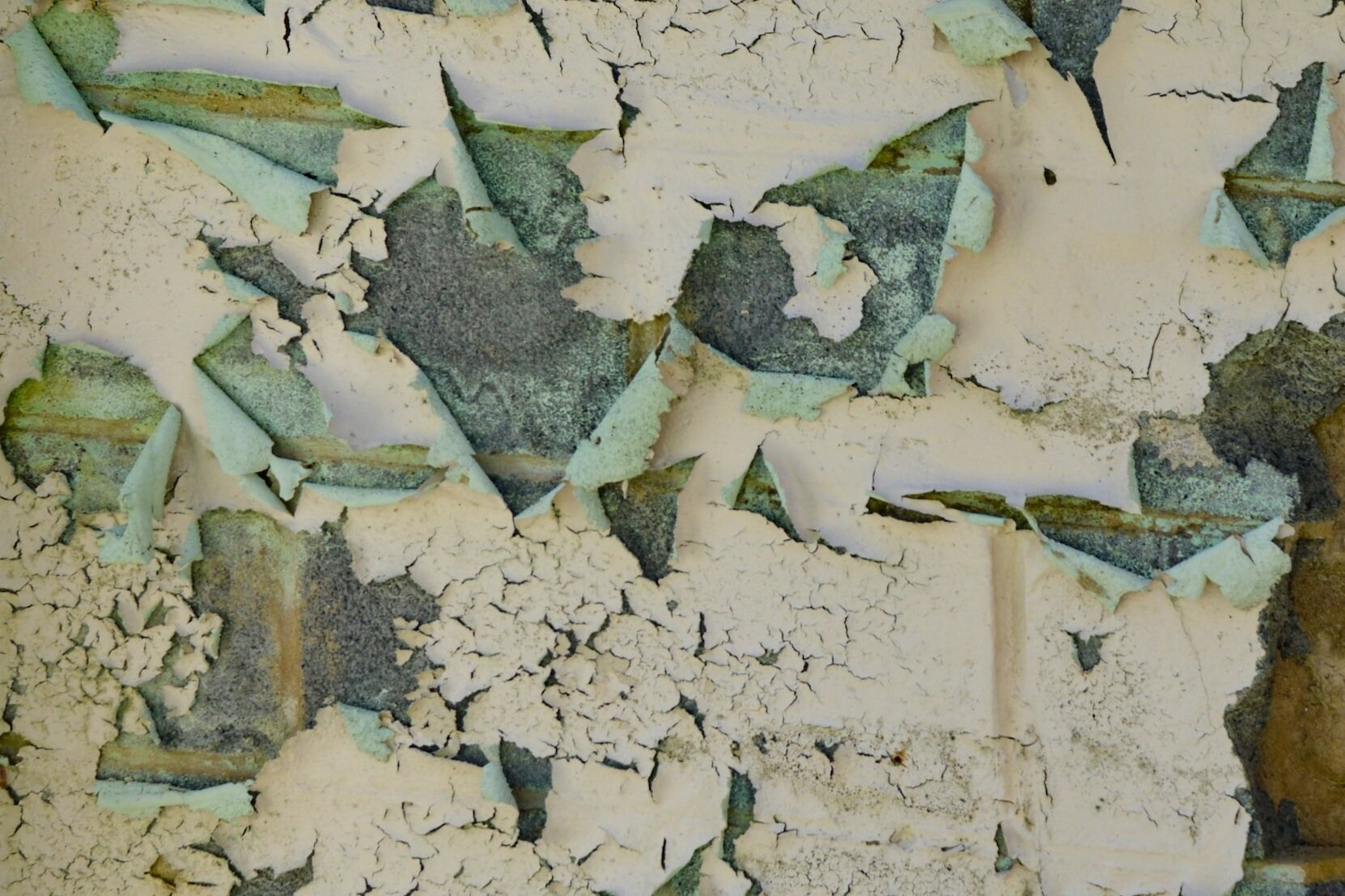 Denver Painting Tips: How to Fix Paint Peeling Off Your Walls ...