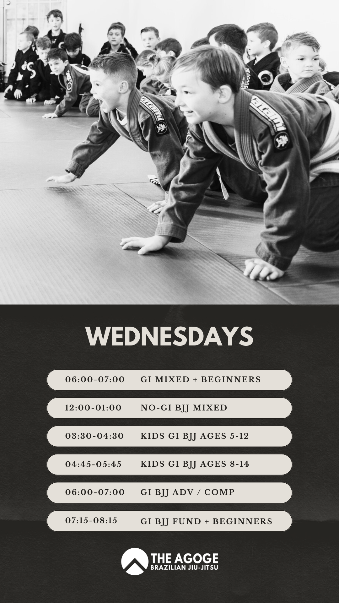 Timetable — The Agoge BJJ