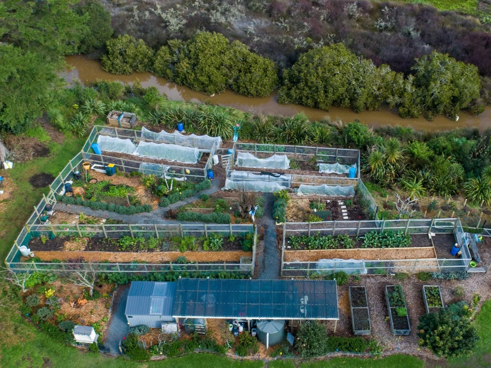 Community garden of epic proportions — Junction Magazine