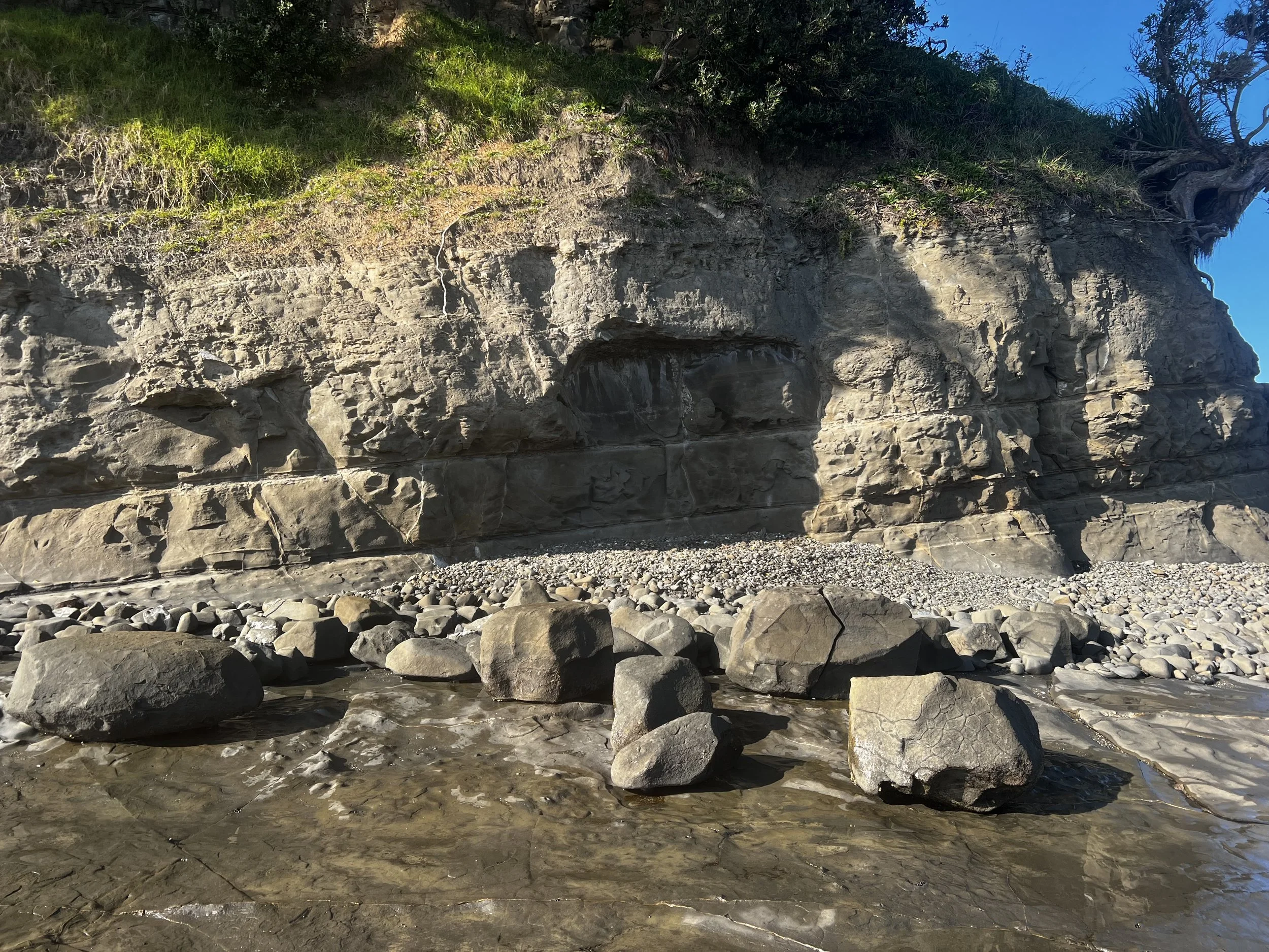 Community coming together for kiwi — Junction Magazine