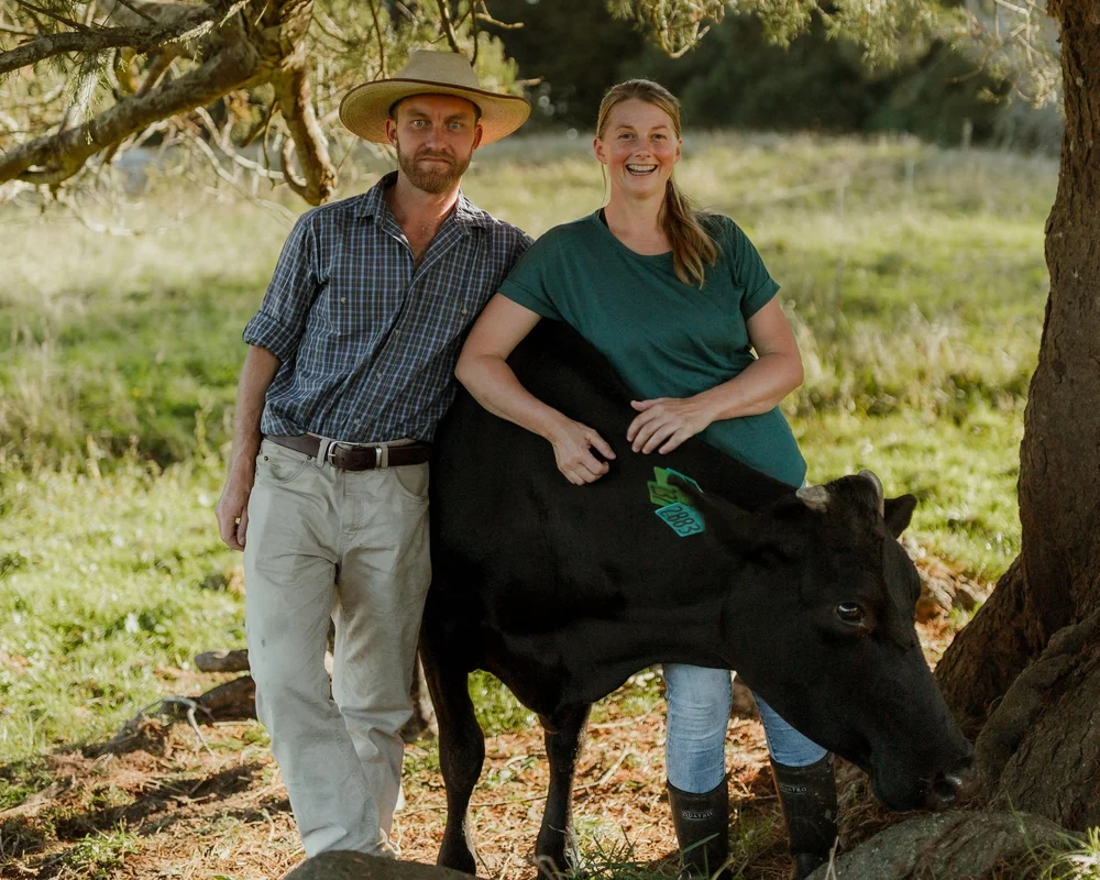Matakana Meadows — Junction Magazine
