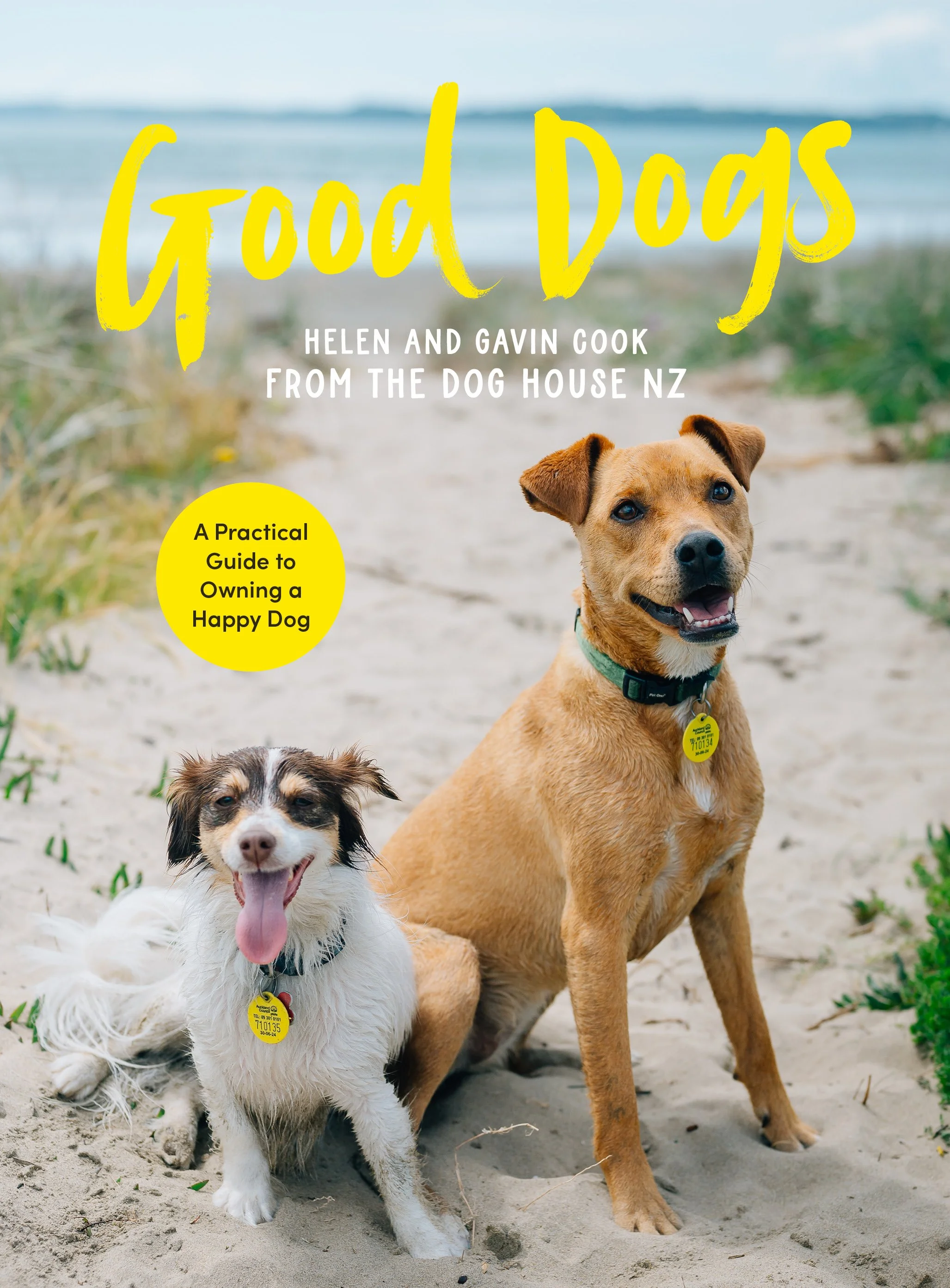 Good Dog — Junction Magazine