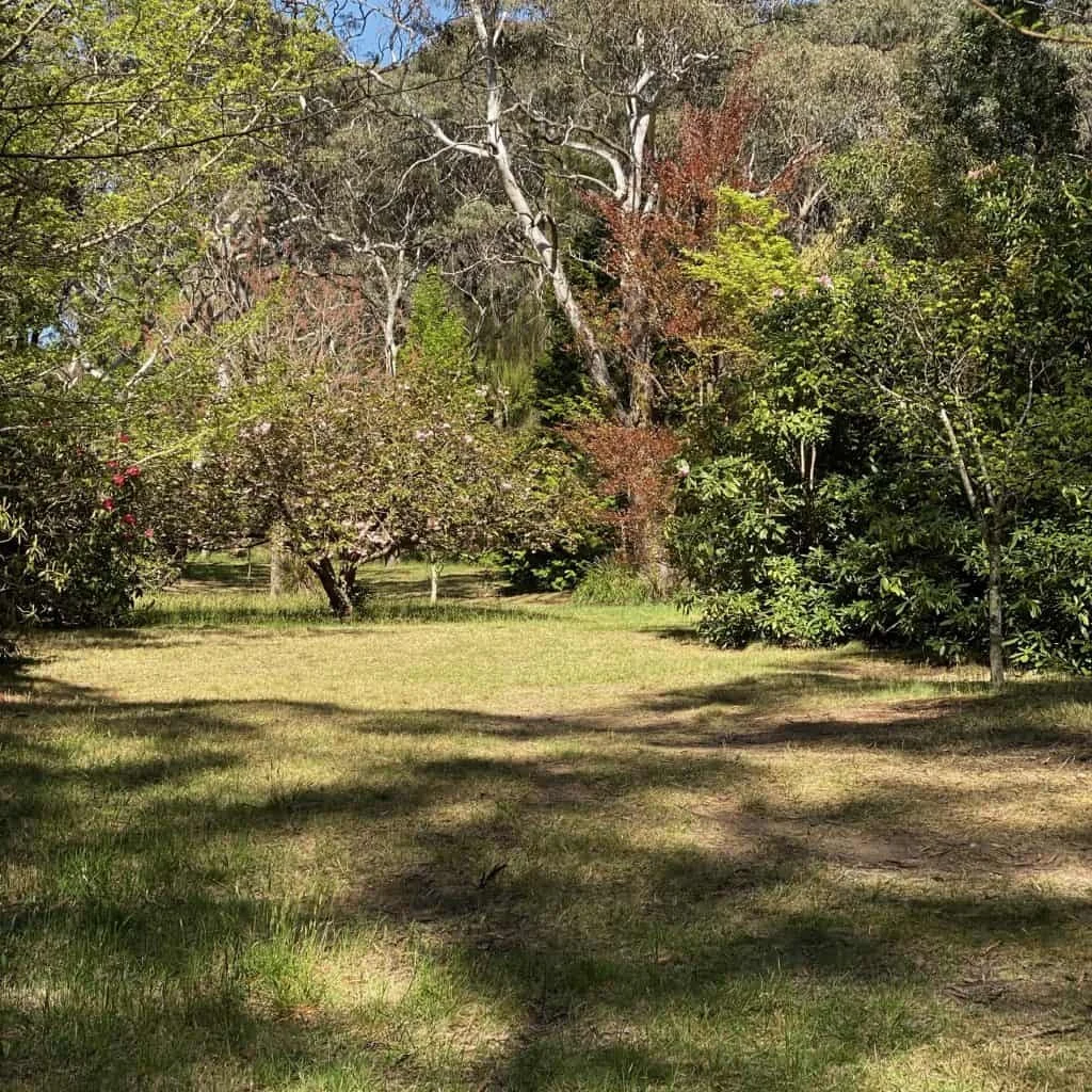 A. Cherry Tree Valley — Campbell Rhododendron Gardens