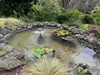 Kay North Fountain and ponds renovation — Campbell Rhododendron Gardens