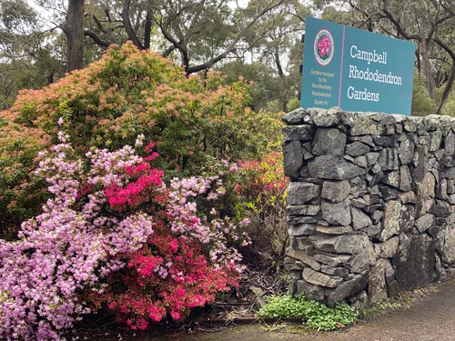 Visiting the Gardens — Campbell Rhododendron Gardens