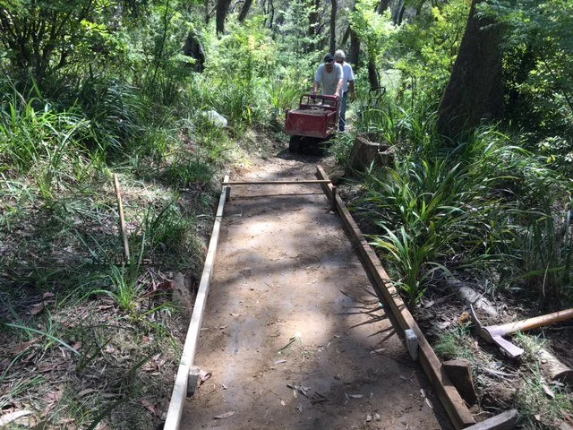 Maple Walk track project — Campbell Rhododendron Gardens
