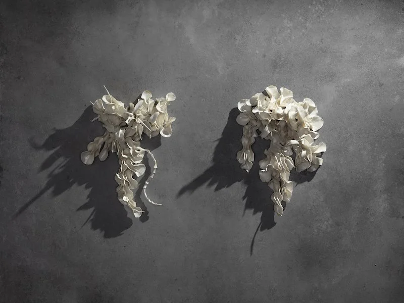 Naoko Tagai — The Curator's Salon