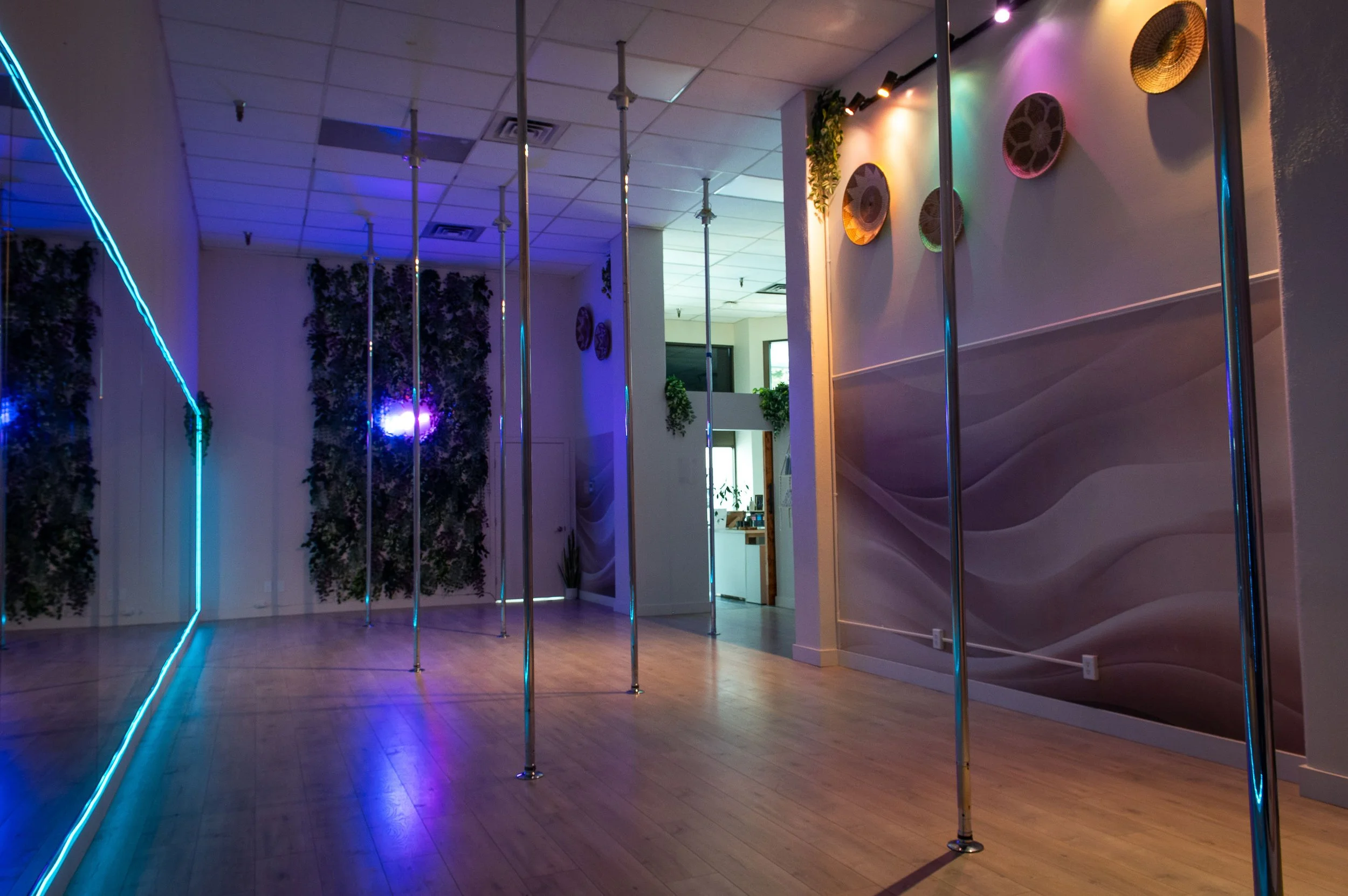 AVA Fitness Pole Dance Studios