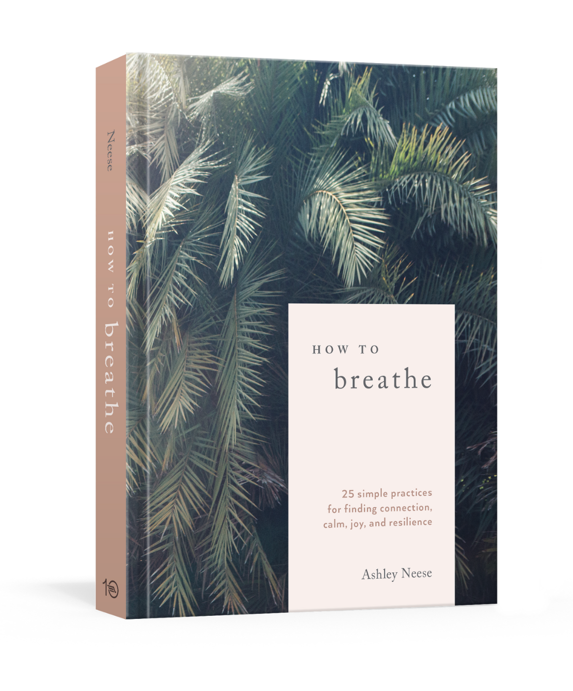 Shop Books — Ashley Neese