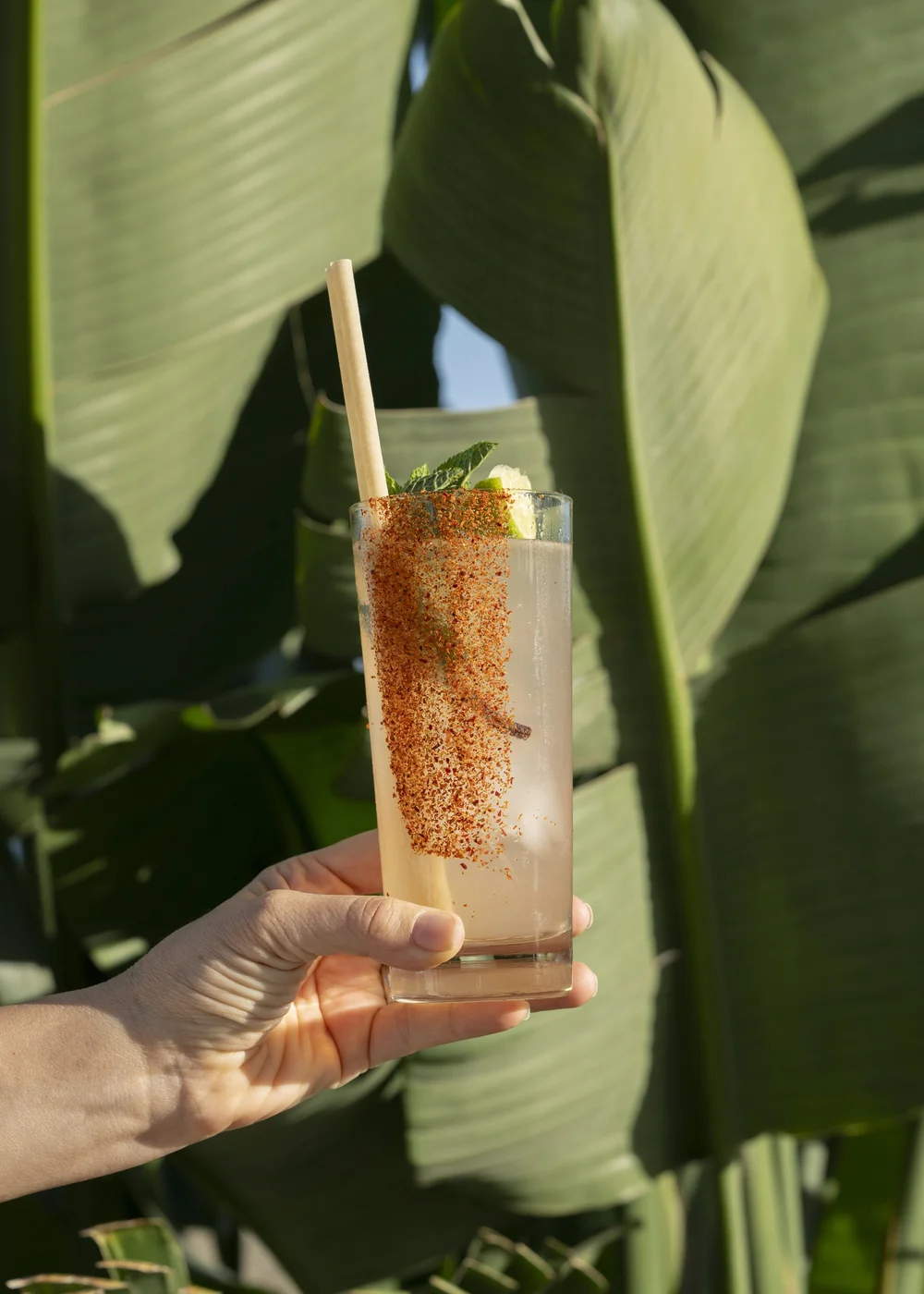 MARBELLA — AMMOS GREEK RESTAURANT