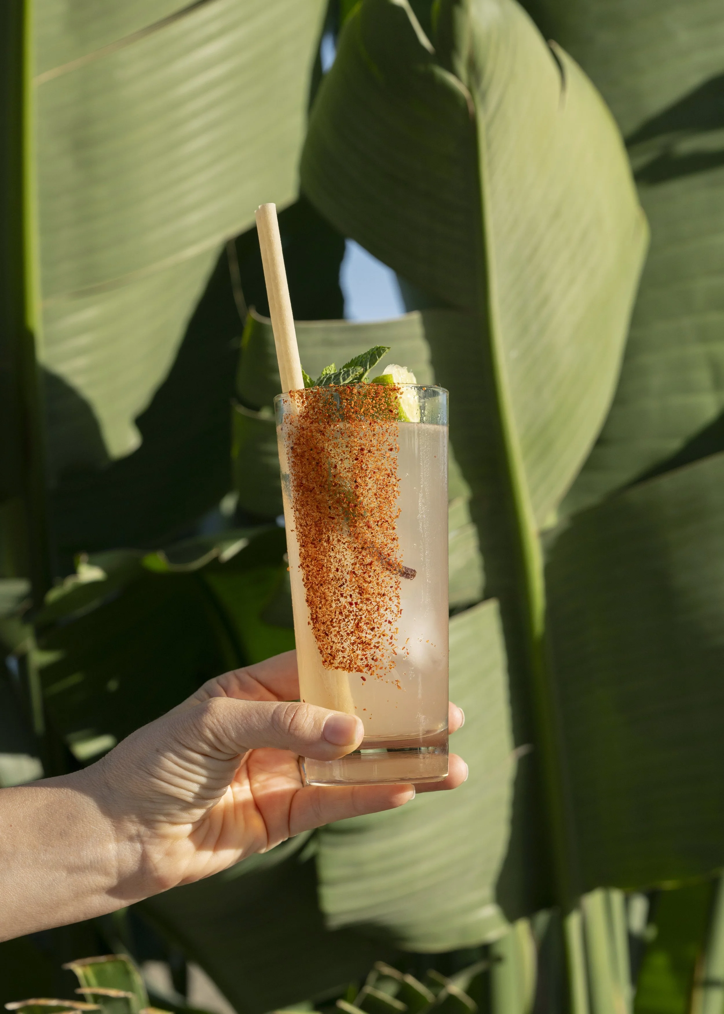 MARBELLA — AMMOS GREEK RESTAURANT