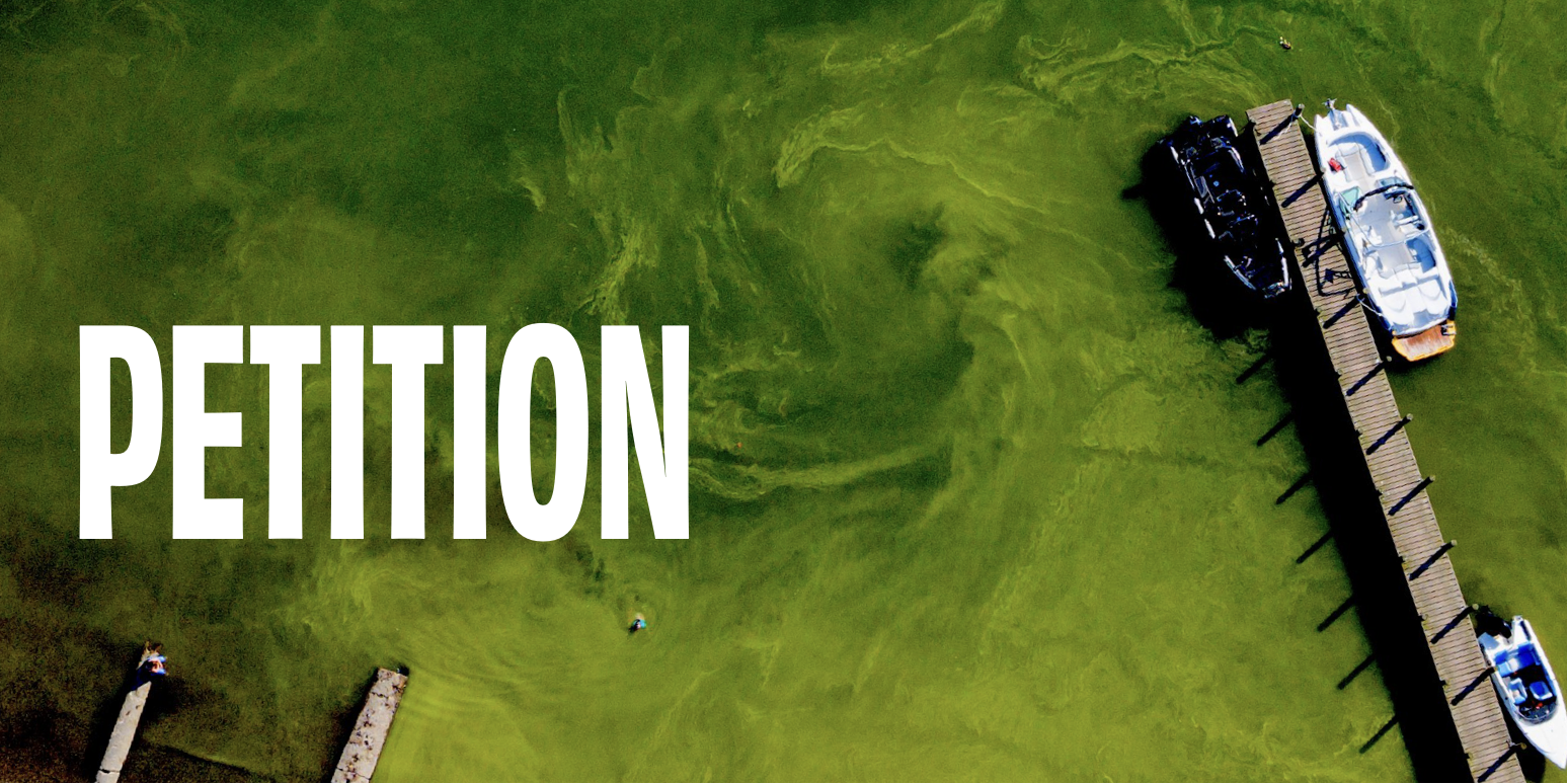 Save Windermere · Stop the Sewage